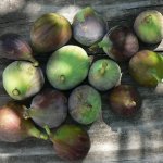 Higos: propiedades y usos | Trucosnaturales.com